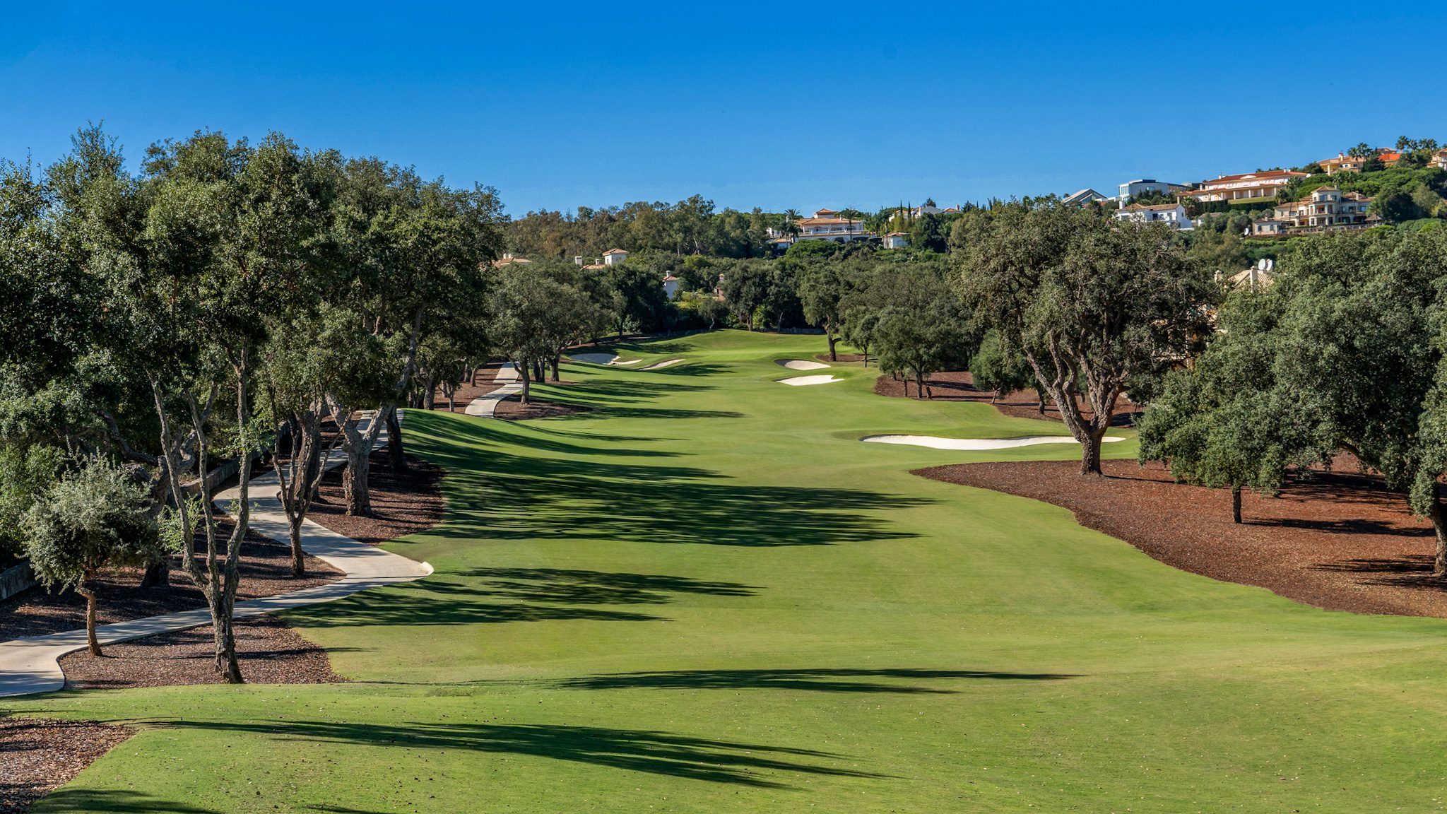 Reflecting on Success The San Roque Club's Transformation, Three Years ...